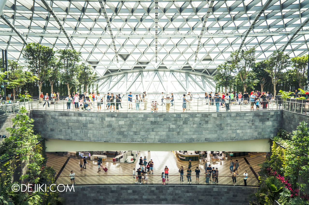 Canopy Park attractions at Jewel Changi Airport | Dejiki.com