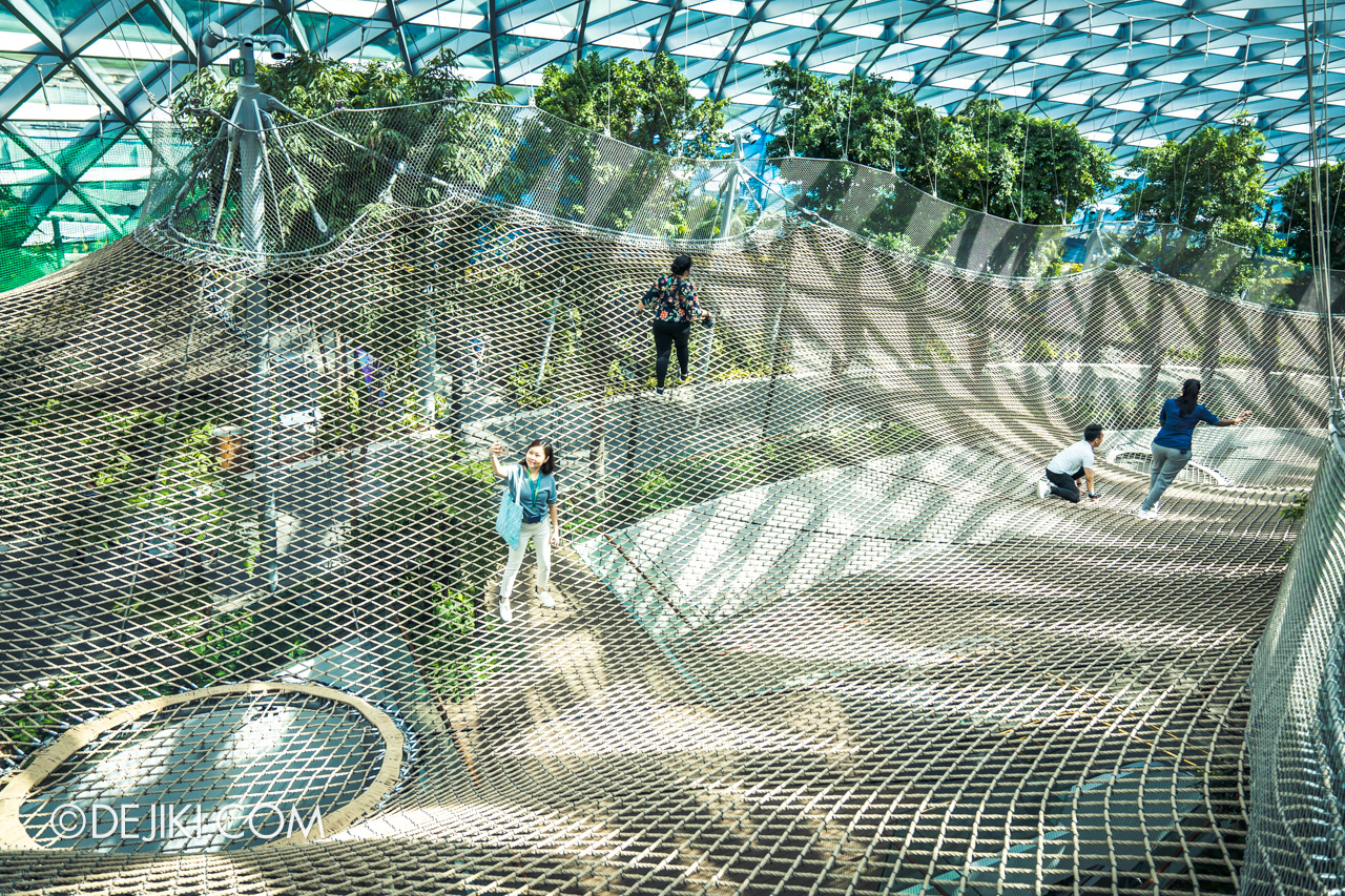 Canopy Park attractions at Jewel Changi Airport | Dejiki.com