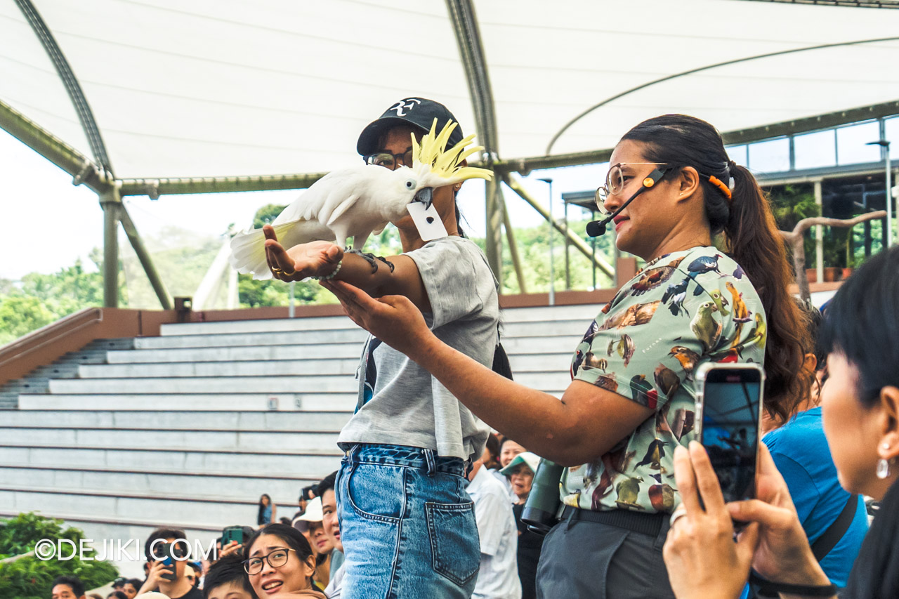 Bird Paradise Singapore - Photo Review and Guide | Dejiki.com