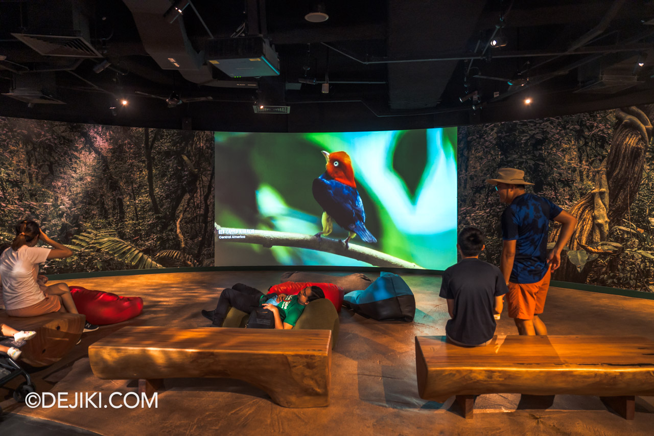 Bird Paradise Singapore - Photo Review and Guide | Dejiki.com