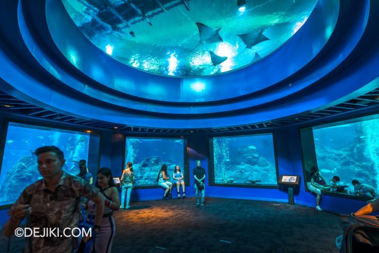 S.E.A. Aquarium - Genshin Impact event, Singapore Oceanarium
